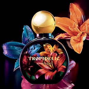 Bath and Body Works: home fragrances and body care